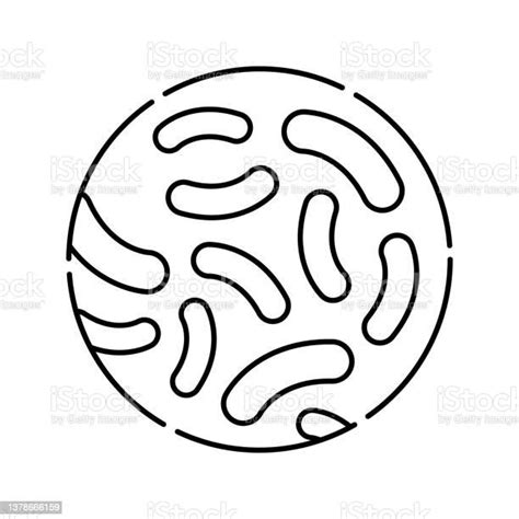 Lactococcus Probiotics Line Icon Vector Illustration Stock Illustration