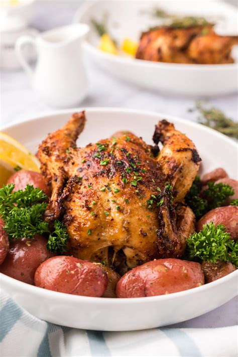 Power Air Fryer Cornish Hen Recipe At Hayden Champ Blog
