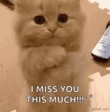 Miss You Cute S Tenor