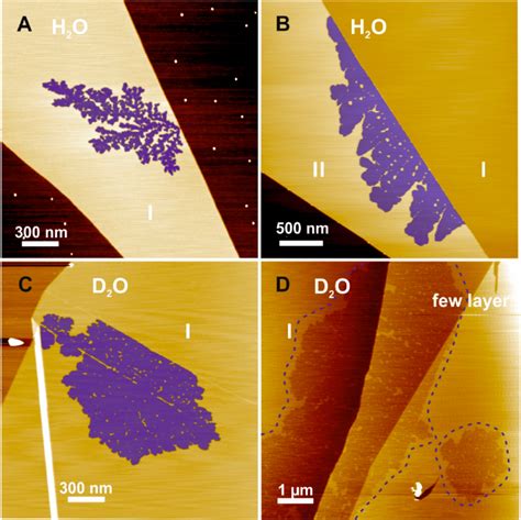 Afm Topography Images Showing Dewetting Patterns Of Single Layer