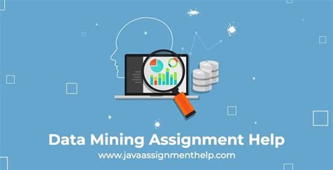Get The Best Data Mining Assignment Help From The Experts