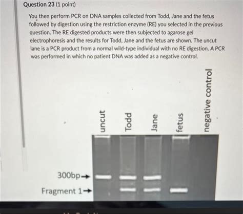 Solved You then perform PCR on DNA samples collected from | Chegg.com
