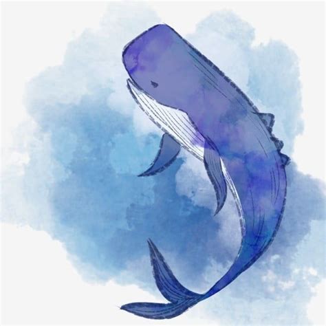 手繪鯨魚水彩鯨魚藍鯨海洋生物 可愛的鯨魚 卡通鯨 鯨魚插圖素材圖案PSD和PNG圖片免費下載 Watercolor whale Whale illustration