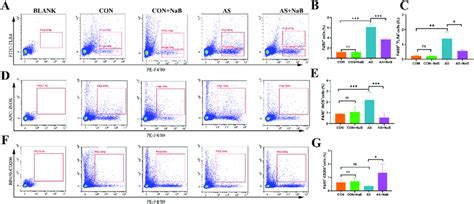 Effects Of Nab On Mψ And Associated Polarization In Apoe − − Mice With