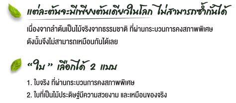 Project Reference Tree Zillion Innovation