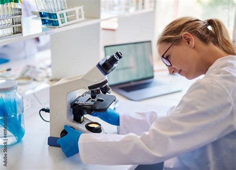 Female Lab Technician Placing Slide Samples Under A Microscope Stock Photo Adobe Stock