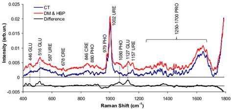 Mean Raman Spectra Of The Ct And Dmandhbp Groups And Difference Spectrum Download Scientific