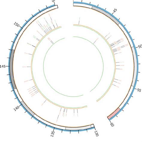 Circos Plot Showing Regions Of Chromosome X Enriched For CTA Genes The