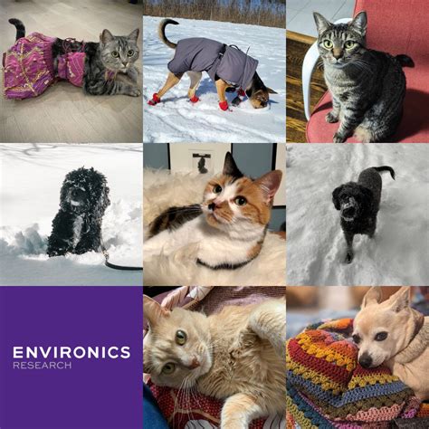 Nationalloveyourpetday Noa Friedman