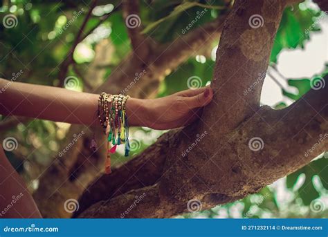 Female Hand On A Tree Branch In A Forest Setting Wearing A Variety Of Colorful Bracelets Stock