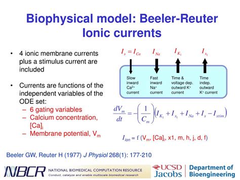 Ppt Thursday Monodomain Modeling In Cardiac Electrophysiology Powerpoint Presentation Id