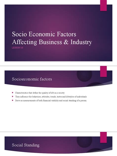 Econ Week 10 Socio Economic Factors Affecting Business Industry Pdf
