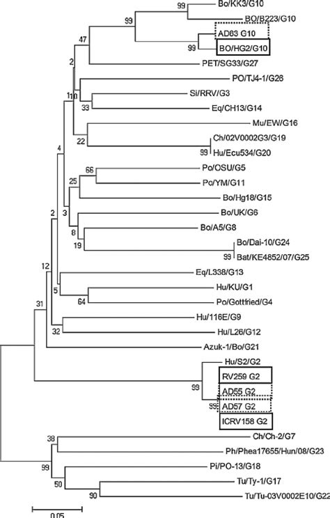 Phylogenetic Tree Constructed From Sequences Of The Vp7 Gene Of The G2 Download Scientific