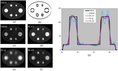 Images And Profiles For A Single Noisy Realization Of The Simulation