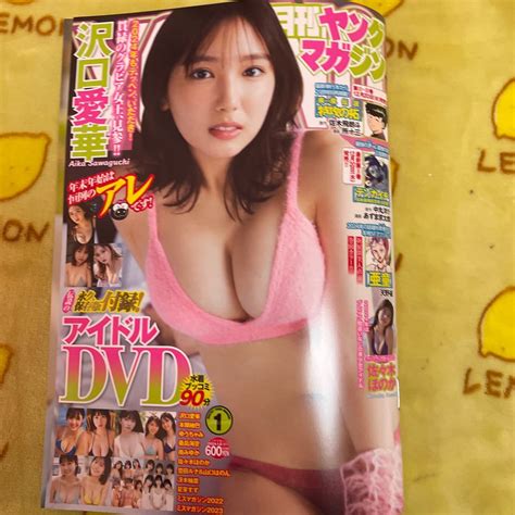 【目立った傷や汚れなし】月刊ヤングマガジン 沢口愛華 付録dvd 佐々木ほのか 首都高spl 本郷柚巴 ゆうちゃみ 桑島海空 豊田ルナ 南みゆ