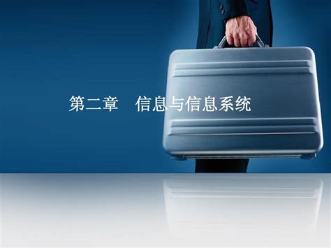 第二章 信息与信息系统word文档在线阅读与下载无忧文档 第二章 信息与信息系统word文档在线阅读与下载无忧文档