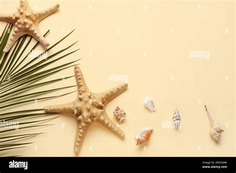 Composition With Starfishes Seashells And Palm Leaf On Color