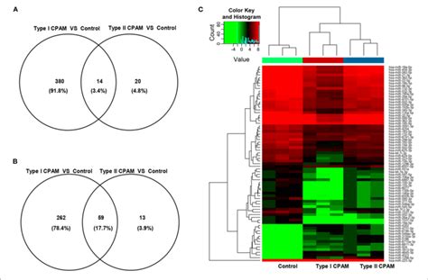 Common Differentially Expressed Mirnas Between Type I And Type Ii