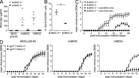 Mog Specific Antibodies Partially Restored Susceptibility To Download Scientific Diagram