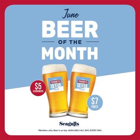 June Beer Of The Month Seagulls
