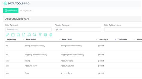 Smart Salesforce Dictionary For Report And Metrics Mapping