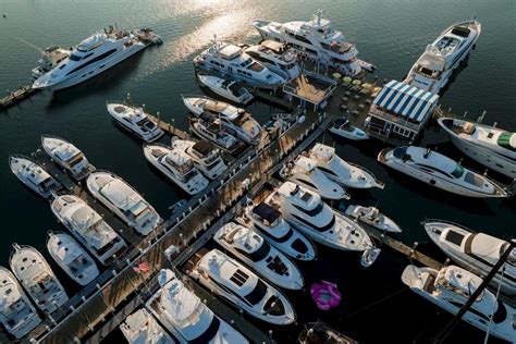 34 Facts About Cockapoo