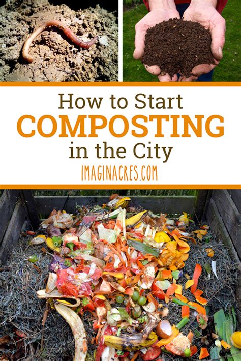 How To Start Composting