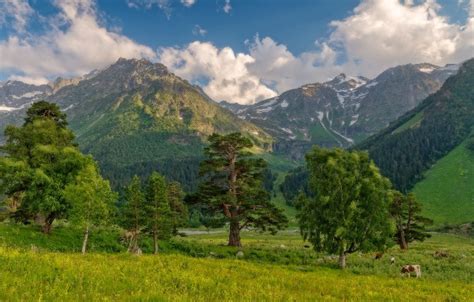 На вершине склона холма Татьяна Марк Стихи ру