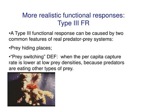 Ppt Unit Ii Population Ecology Powerpoint Presentation Free