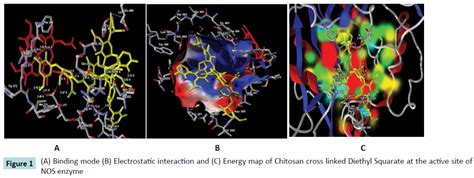 Molecular Interaction Studies Of Chitosan Cross Linked Compounds