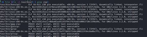 Bash Pathname Expansion In Linux Geeksforgeeks