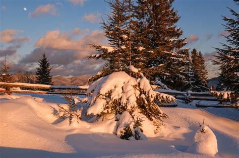 Premium Photo Alpine Village Outskirts In Last Evening Sunset Sun