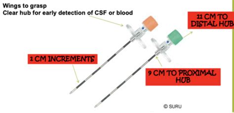 Part 1 Epidural Cse And Caudal Slide 1 45 Flashcards Quizlet