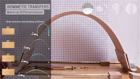 robotic sewing and timber shells urbannext