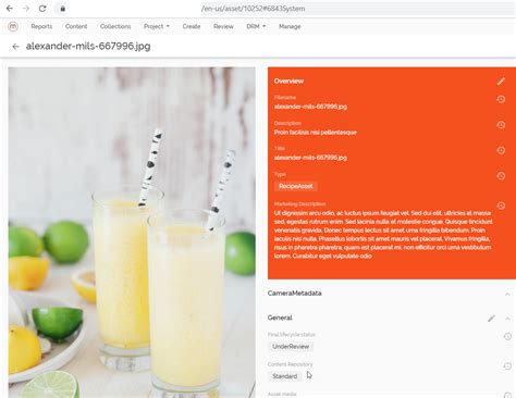 Sitecore Content Hub Understand The Entities Let`s Share