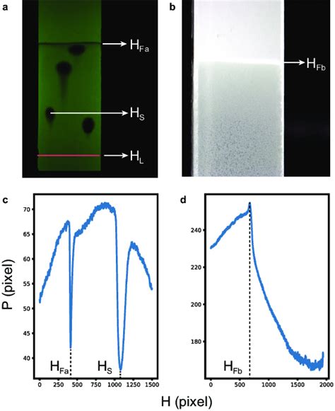 Calculation Of The R F Values A And B The Photos Photographed For Download Scientific
