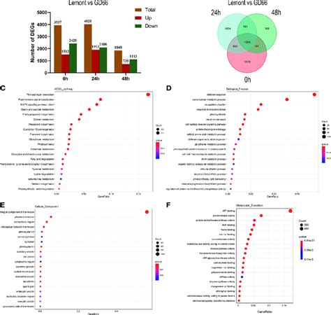 Differentially Expressed Genes Deg And Kyoto Encyclopedia Of Genes