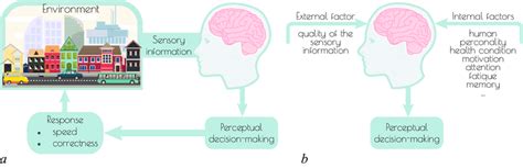 A Perceptual Decision Making Is The Process Of Choosing A Course Of Download Scientific