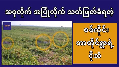 အစုလိုက်အပြုံလိုက် သတ်ဖြတ်ခံရတဲ့ စစ်ကိုင်း တာတိုင်ရွာရဲ့ ငိုသံ Youtube