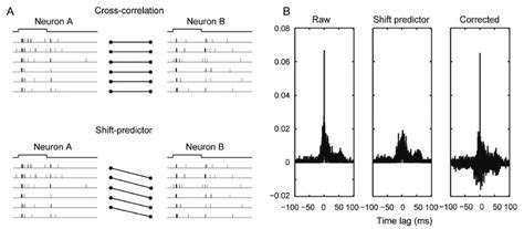 Cross Correlation Analysis And Shift Predictor A The Sketch For Download Scientific Diagram