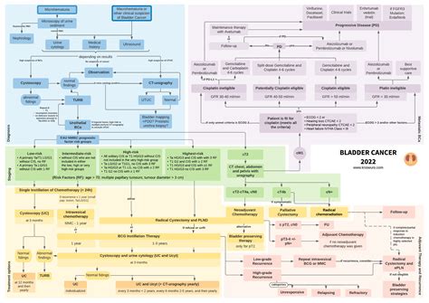 Urology Cheat Sheets Cheaturology Twitter