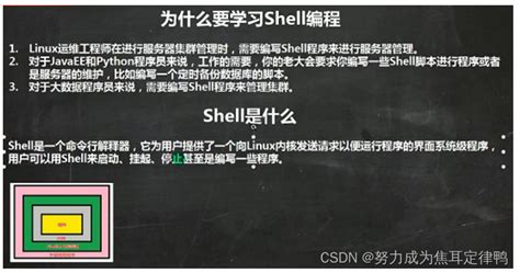 linux：shell编程1 内含：1 shell简介 2 shell实操 3 shell的变量介绍 4 shell变量的定义