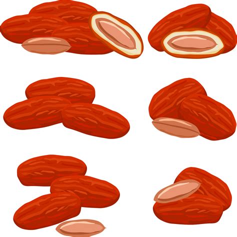 Doce Suculento Saboroso Natural Produto Ecológico Tâmara Fruta 17386101 Png