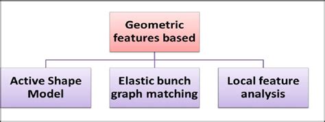 Geometric Based Methods I Active Shape Model Asm Asm Makes Use Of A