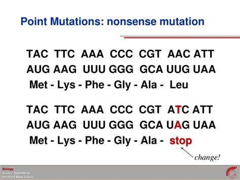 Ppt Dna Mutations Powerpoint Presentation Free Download Id3389314