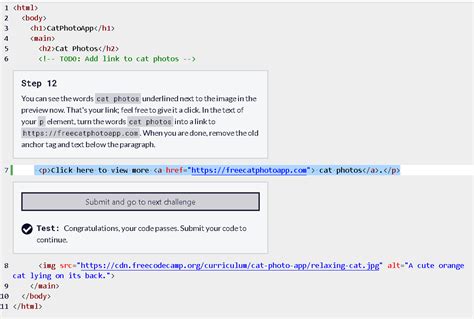 Aprende Html Construyendo Una Aplicación De Fotos De Gatos Step 12