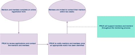 Mentoring Flow Chart Pharmacy Research UK