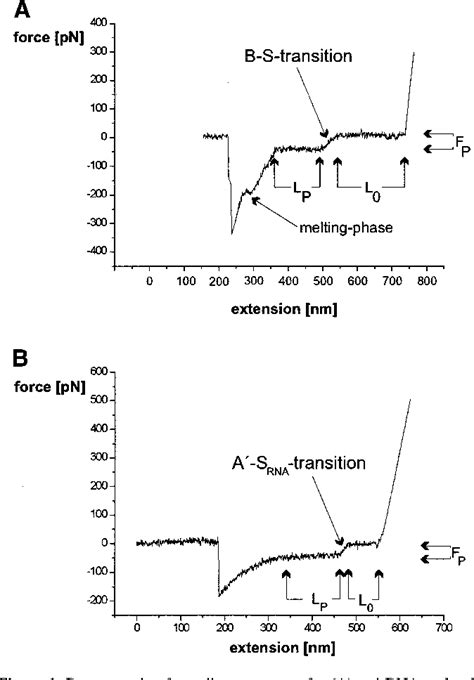 Figure 1 From Analysis Of Rna Flexibility By Scanning Force