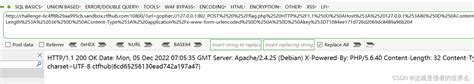ctfhub web ssrf ctfhub 伪协议读取文件 csdn博客