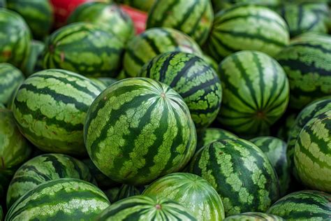 Watermelons Nema Frutas Company ® Wholesale Fruits And Vegetables